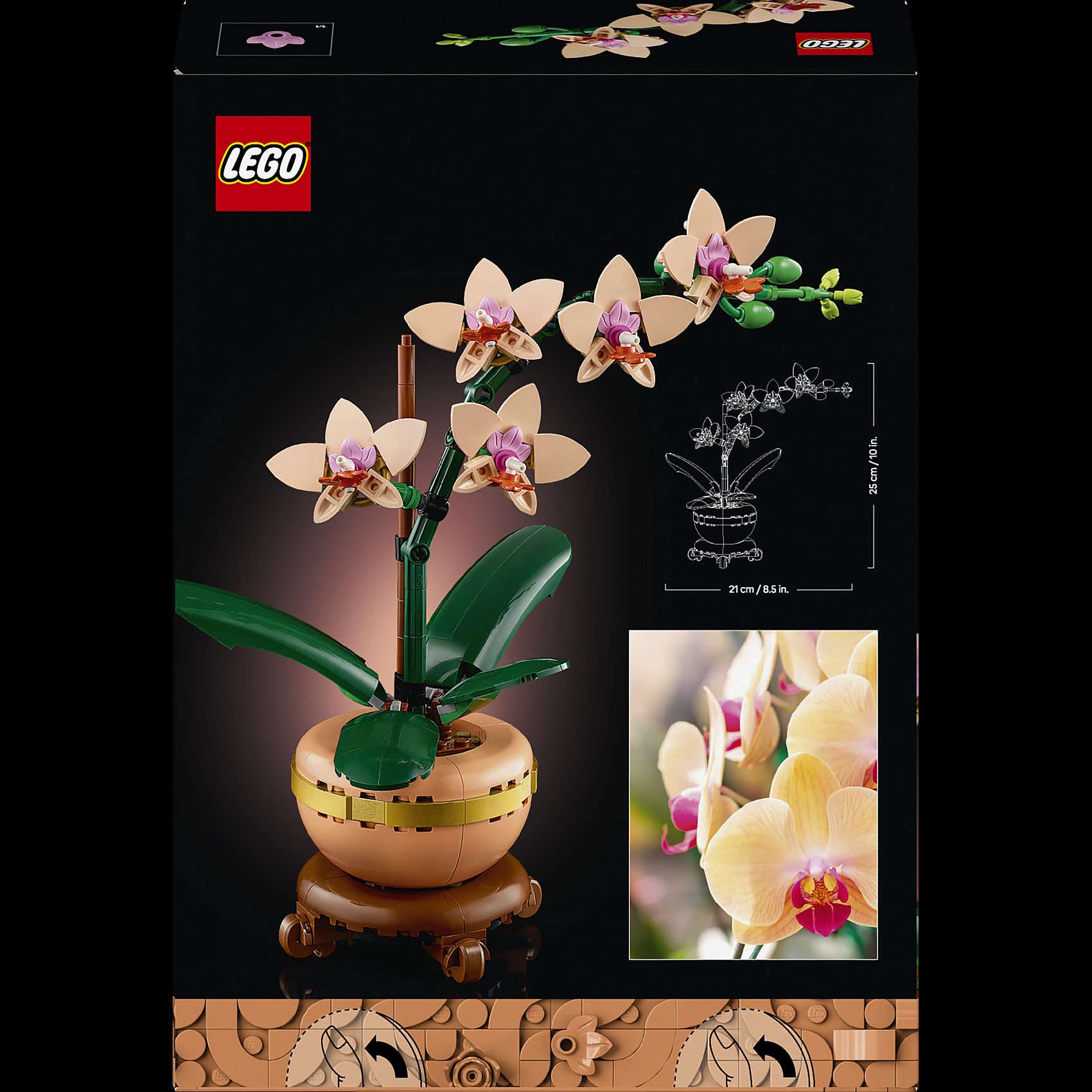 Kocke Botanicals Mini orhideja 10343