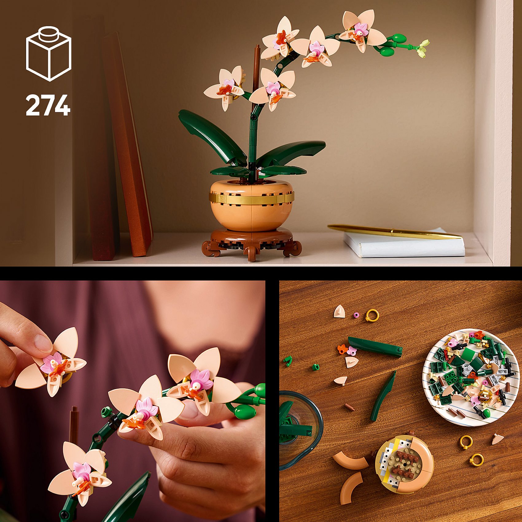 Kocke Botanicals Mini orhideja 10343